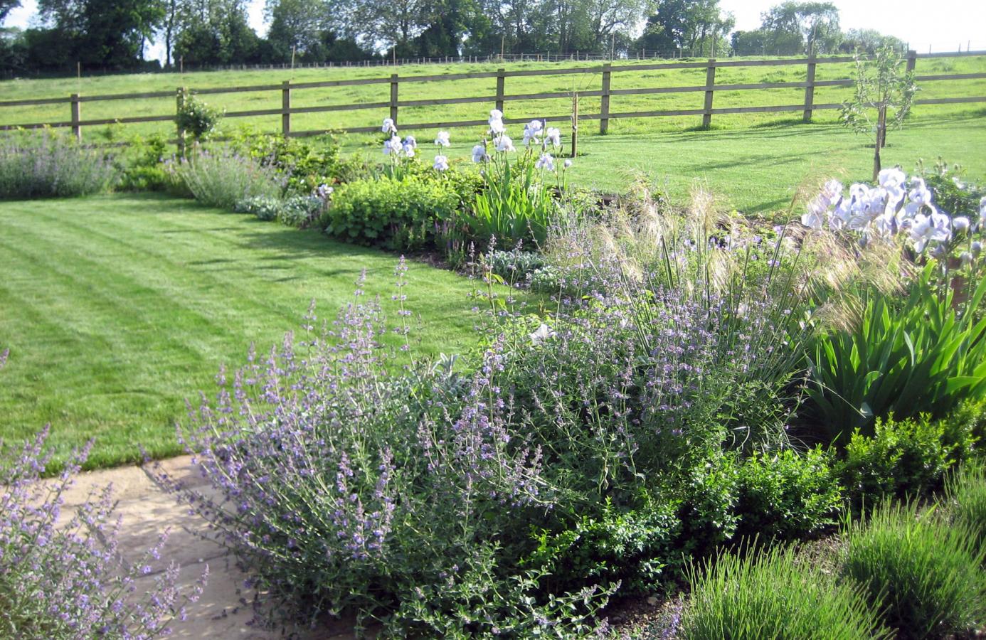 Rural Garden Design (Hampshire) | Amy Perkins Garden Design, Hampshire